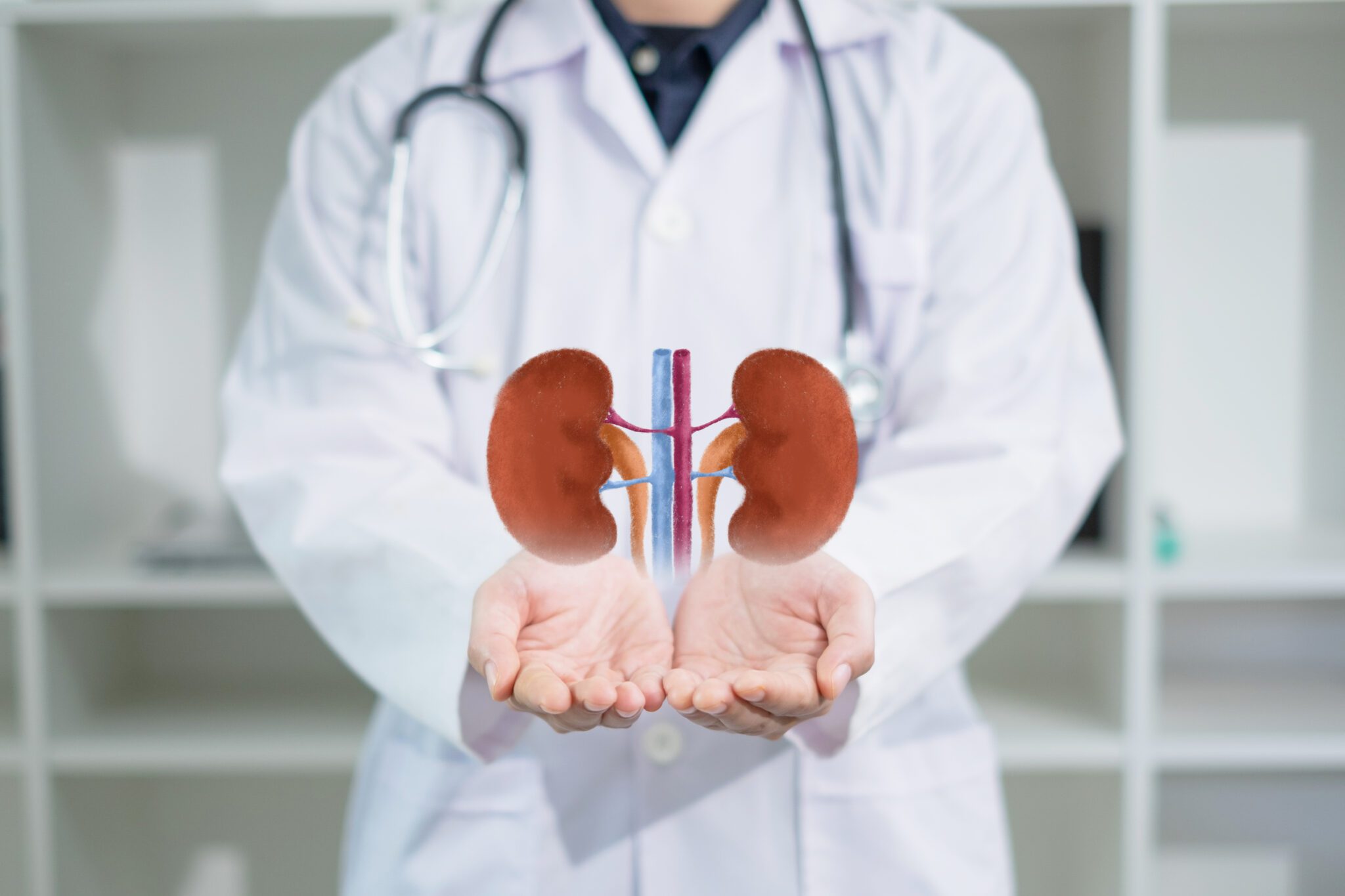Kidney Action Week: 4 things you need to know about kidney disease ...